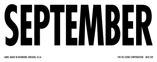 Monthly Color Coded Labels | 2" x 5" Color Code Label, Monthly ...